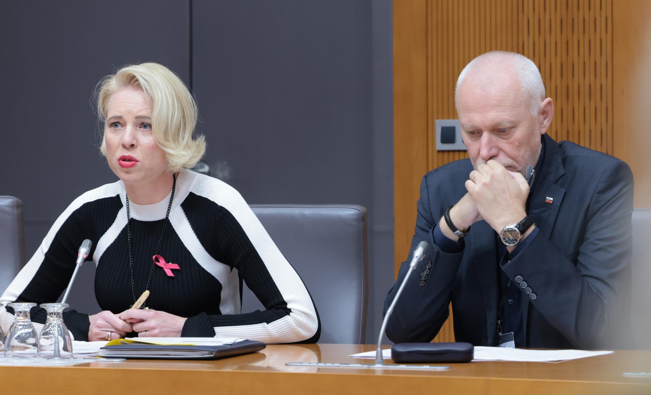 Milan Brglez pozabil prijaviti dodatno delo z Luko Mescem – Spletni časopis